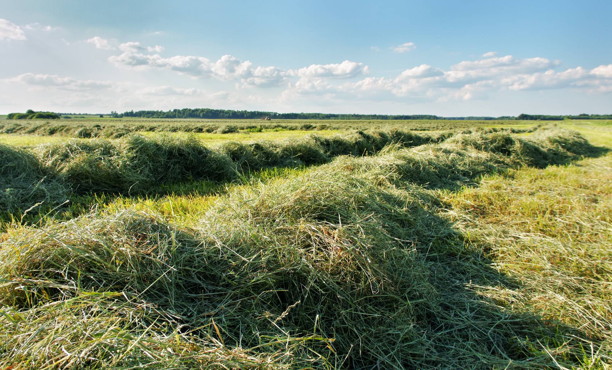 Making Hay: My Summers as a Hay Baler - Grit
